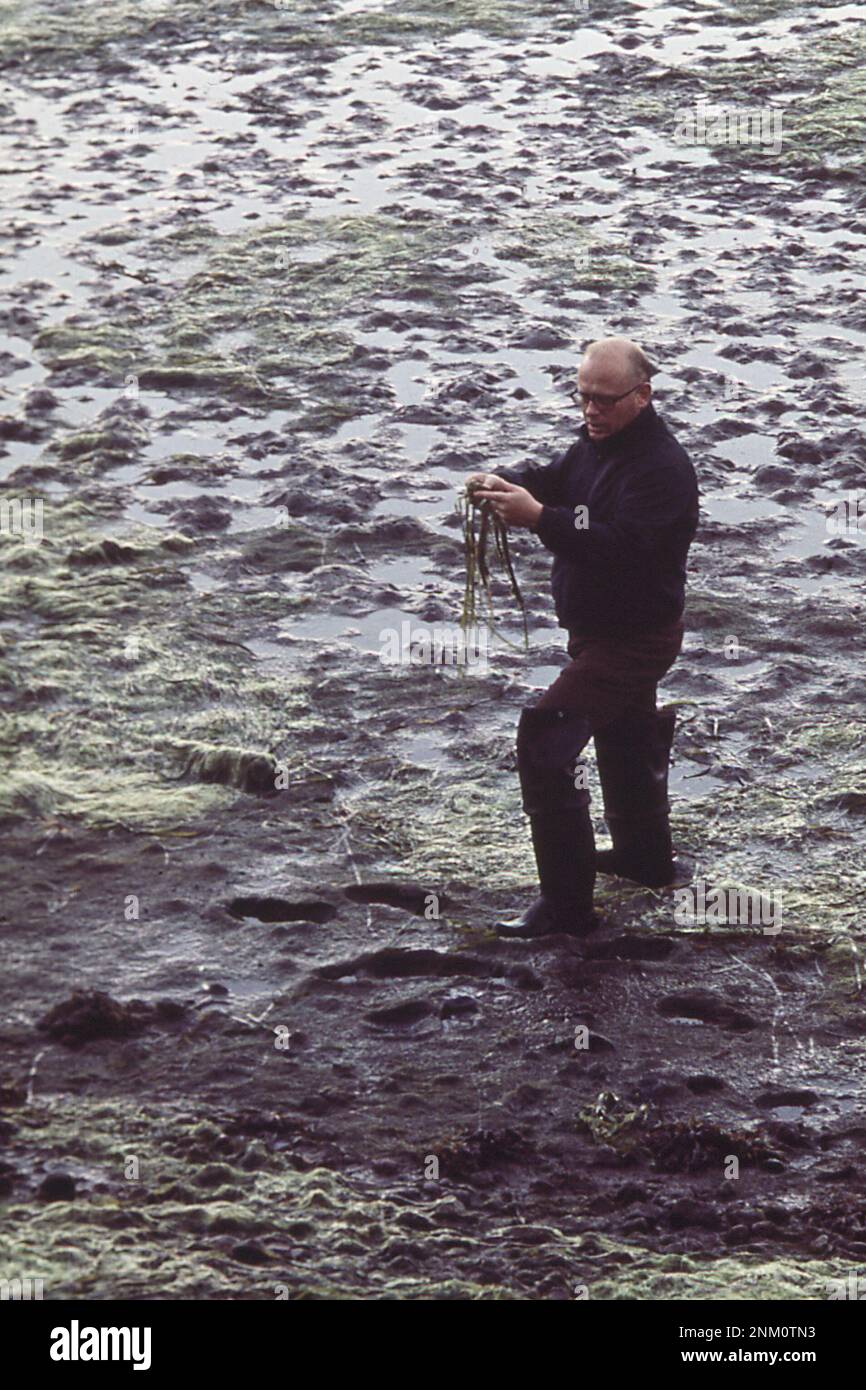 Bill wick hi-res stock photography and images - Alamy