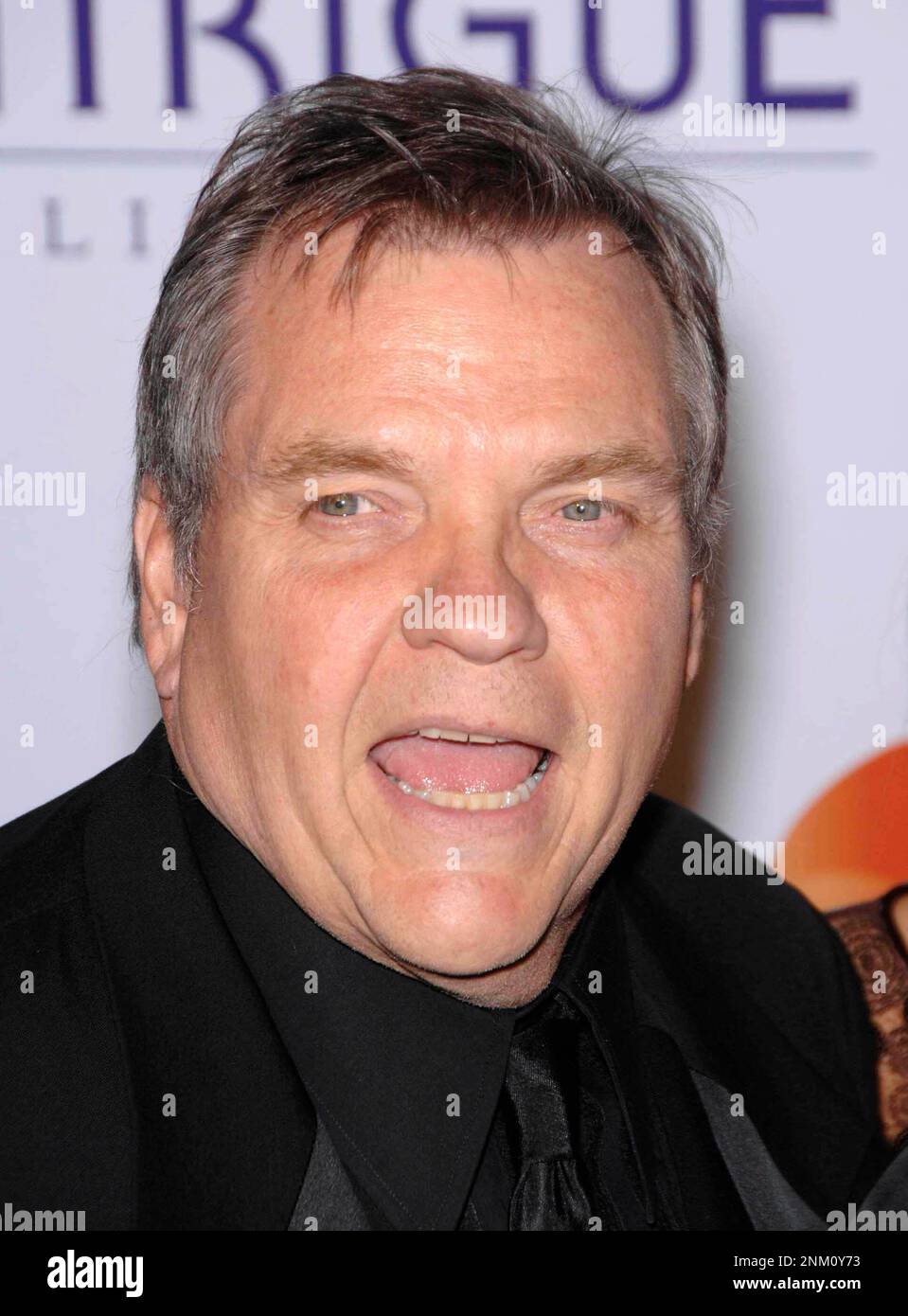 JANUARY 21st 2022: Meat Loaf - iconic recording artist best known for ...