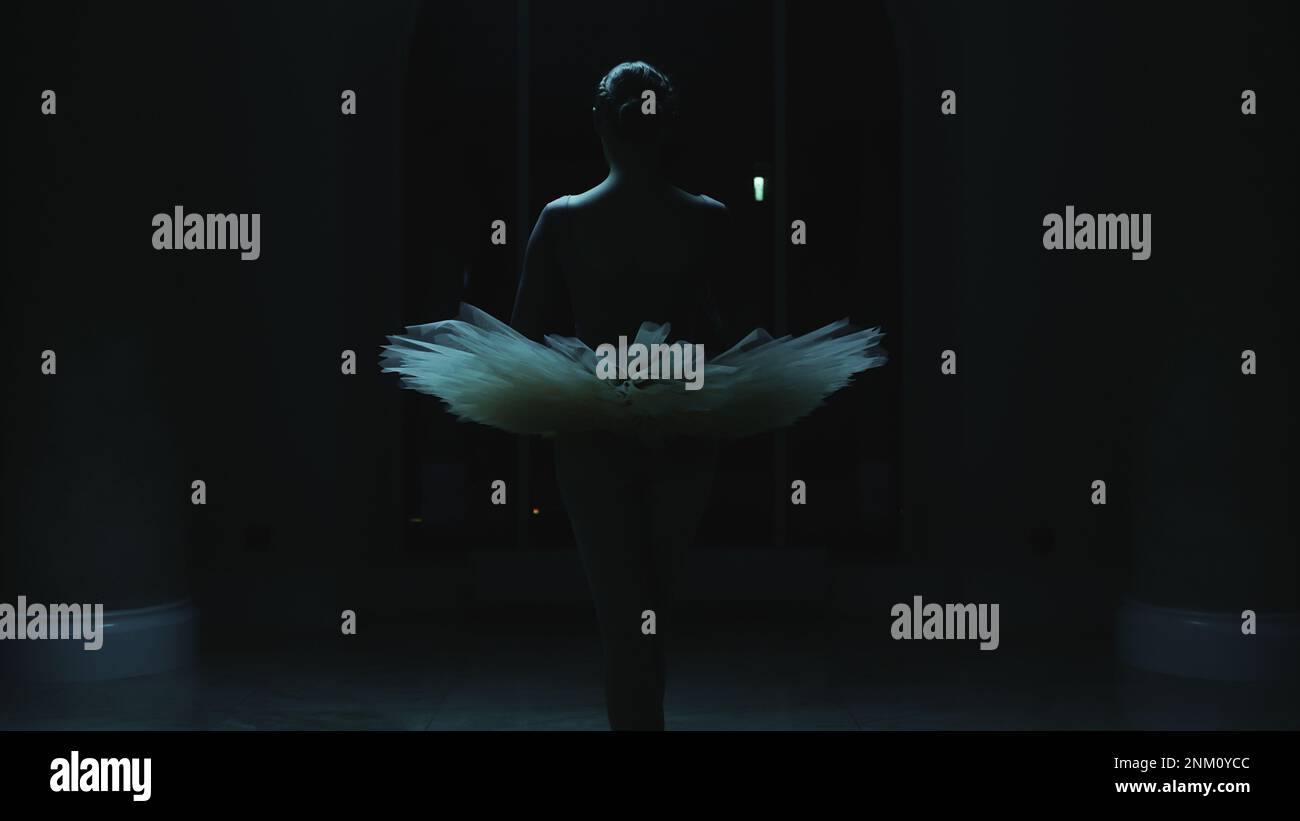 Cinematic shot of beautiful ballerina in ballet dress dancing in front ...