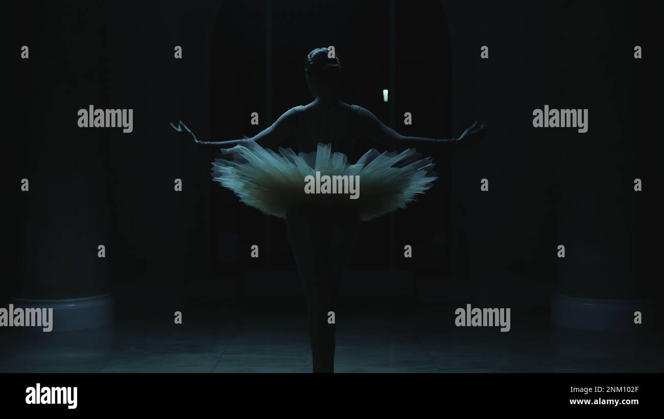 Cinematic shot of beautiful ballerina in ballet dress dancing in front ...