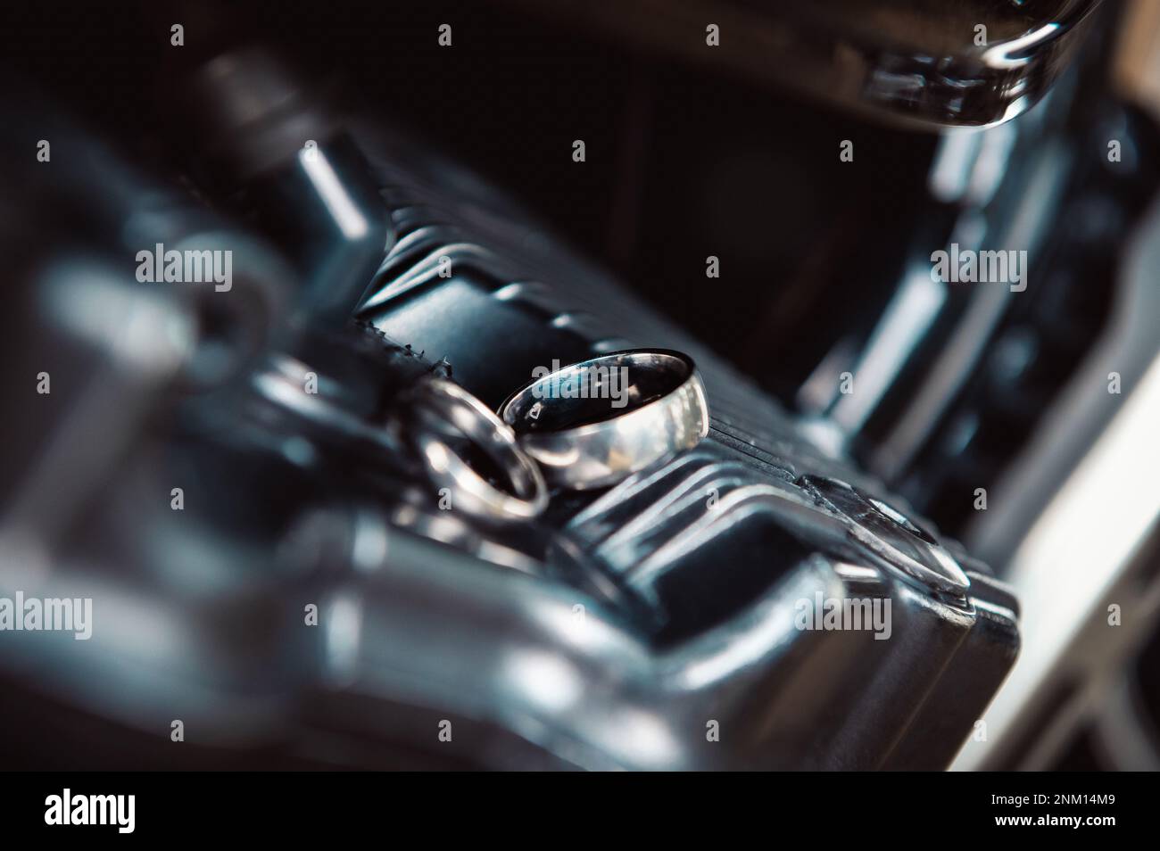 hands, wedding rings and marriage vows white gold wedding rings lying ...