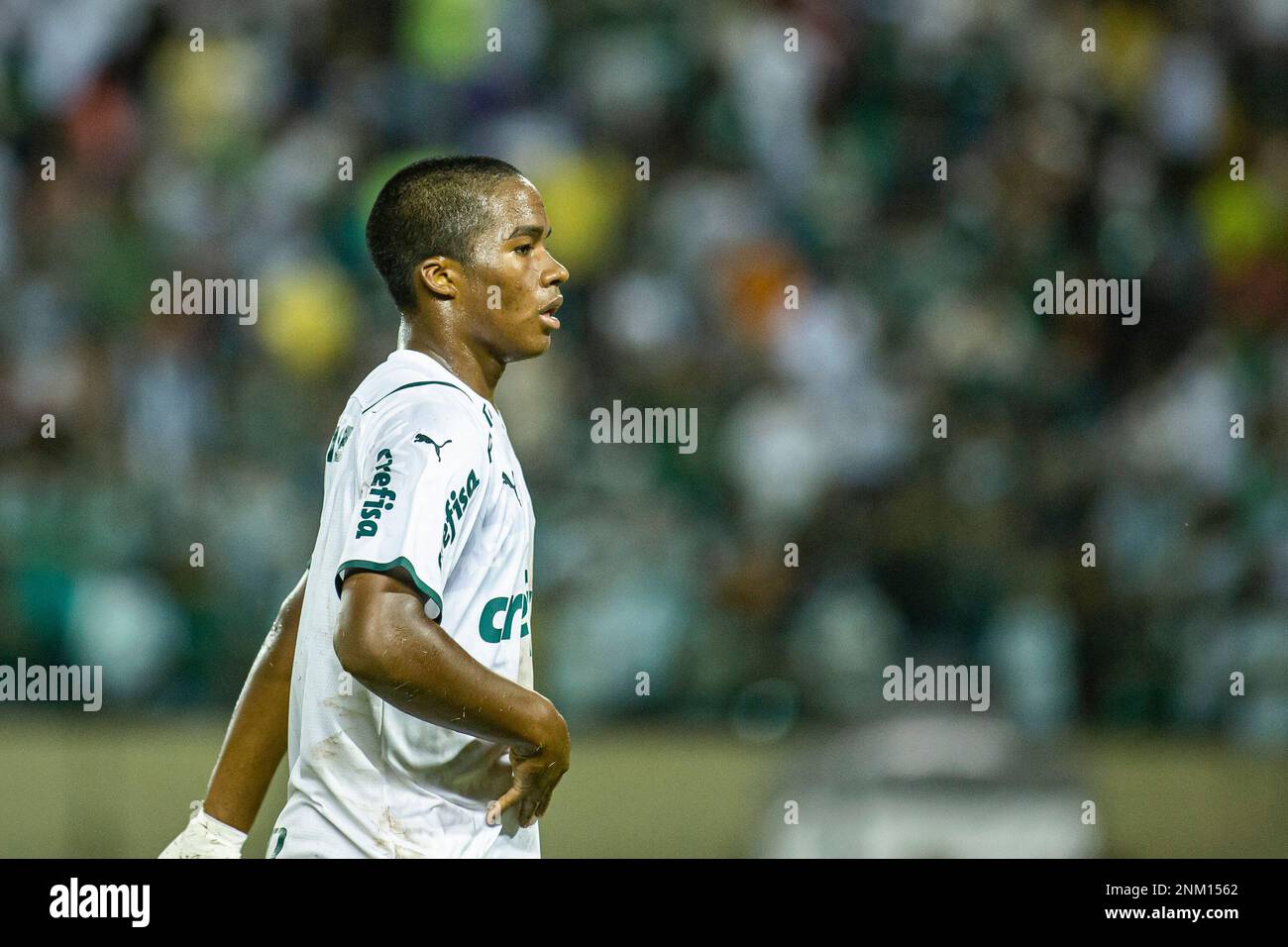 SP - Barueri - 01/19/2022 - COPA SAO PAULO 2022, PALMEIRAS X OESTE ...