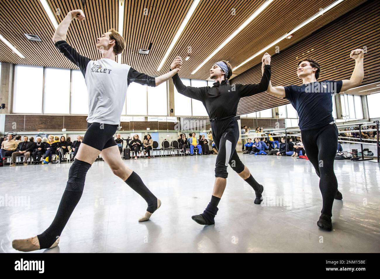 THE HAGUE - The United Ukrainian Ballet, which reflects on the Russian ...