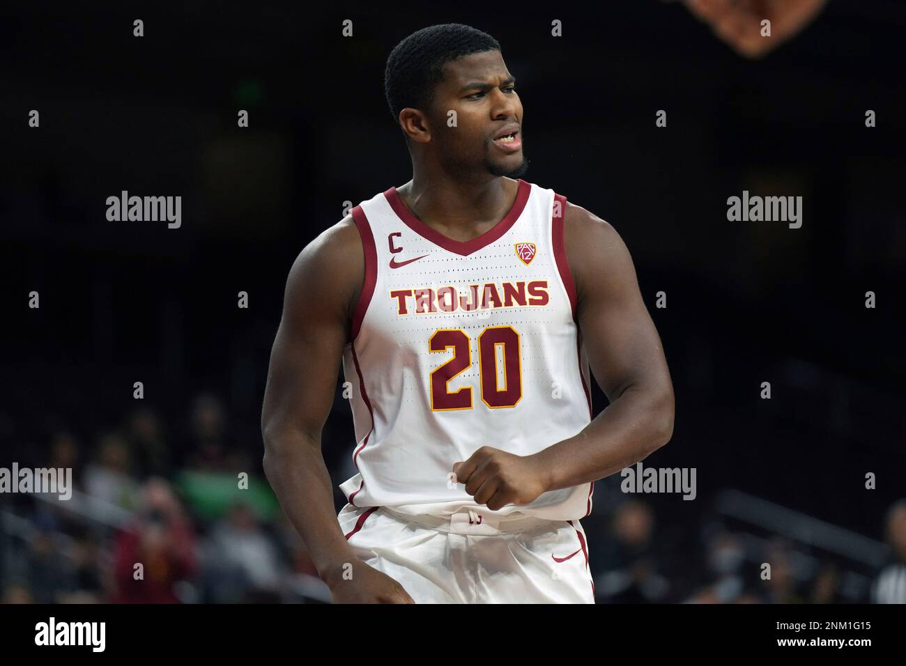 Southern California Trojans guard Ethan Anderson (20) reacts against ...