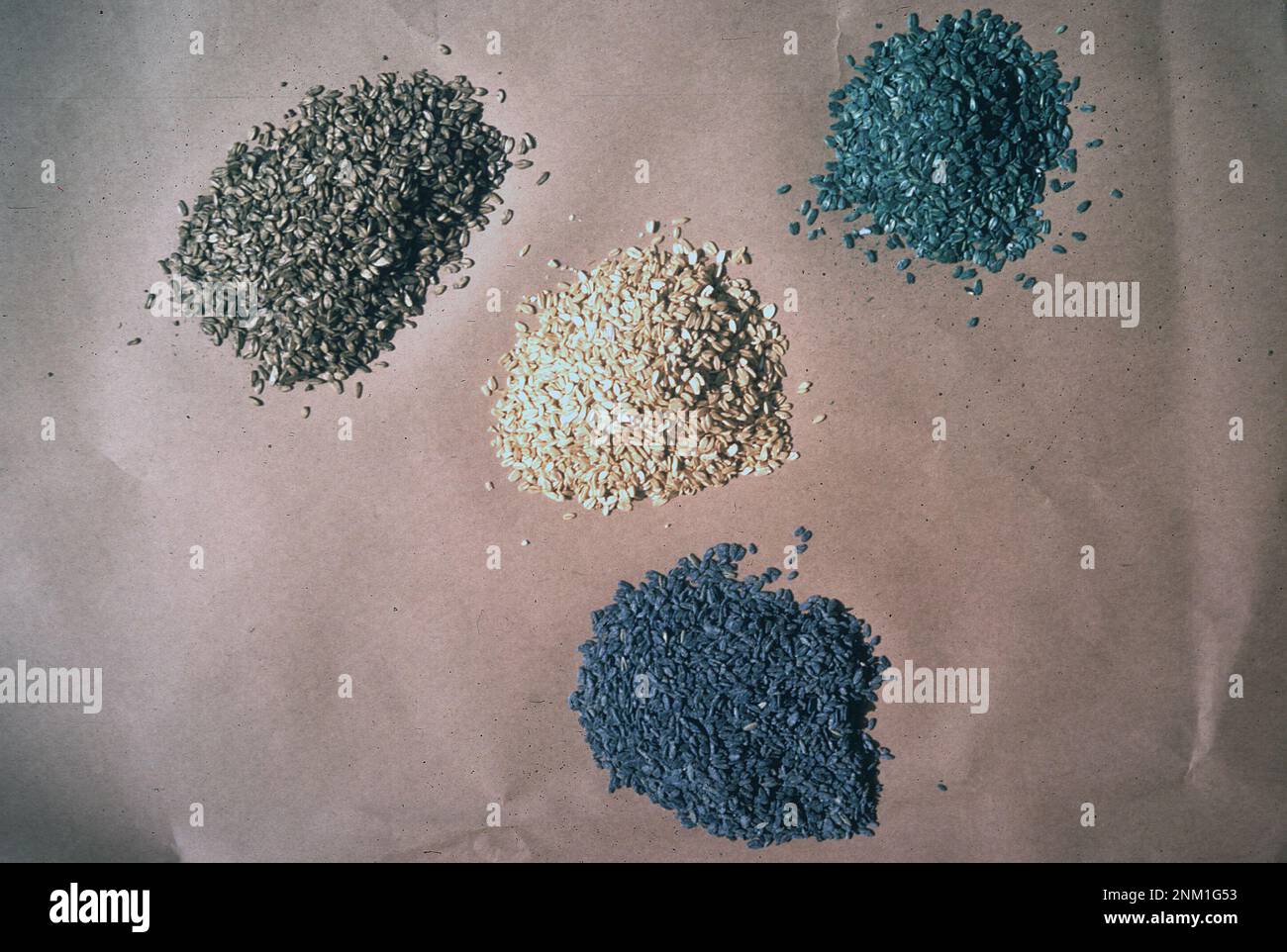 1970s killing squirrels hi-res stock photography and images - Alamy