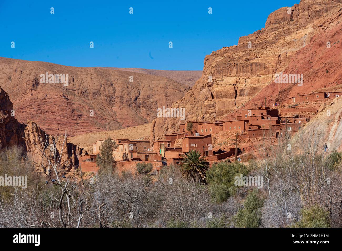 Afrika, Marokko, Südmarokko, Kelaat M'Gouna, Rosental (Vallee des Roses ...