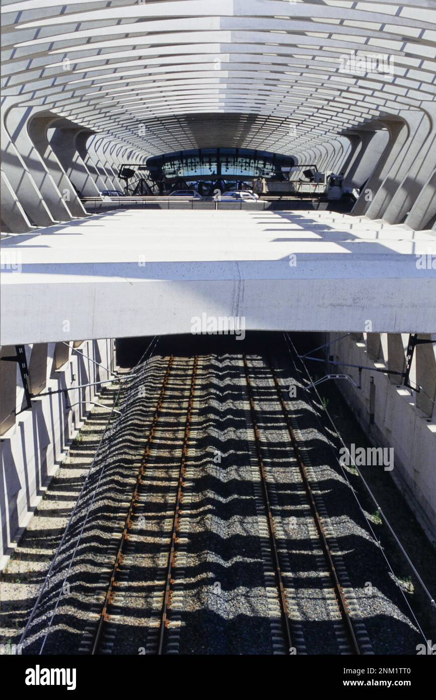 Construction site of satolas raoilway station designed by italian ...