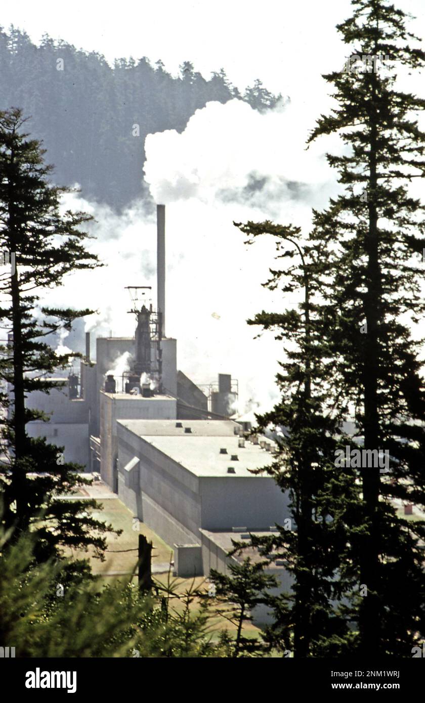 1970s United States: Lumber mill pollutes air in a California ...