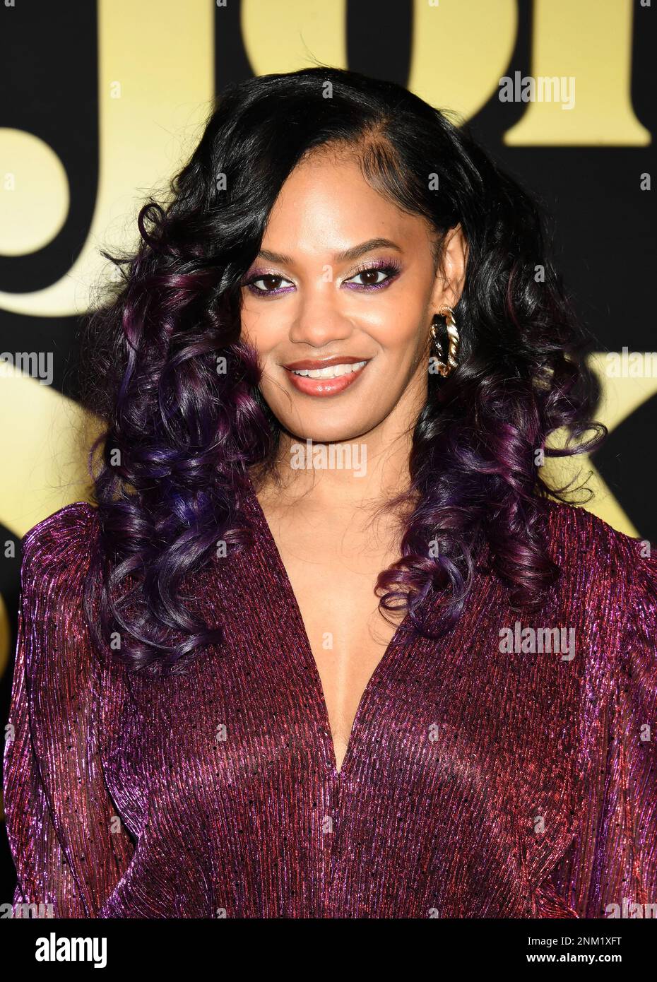 HOLLYWOOD, CALIFORNIA - FEBRUARY 23: Nzingha Stewart attends the Los ...