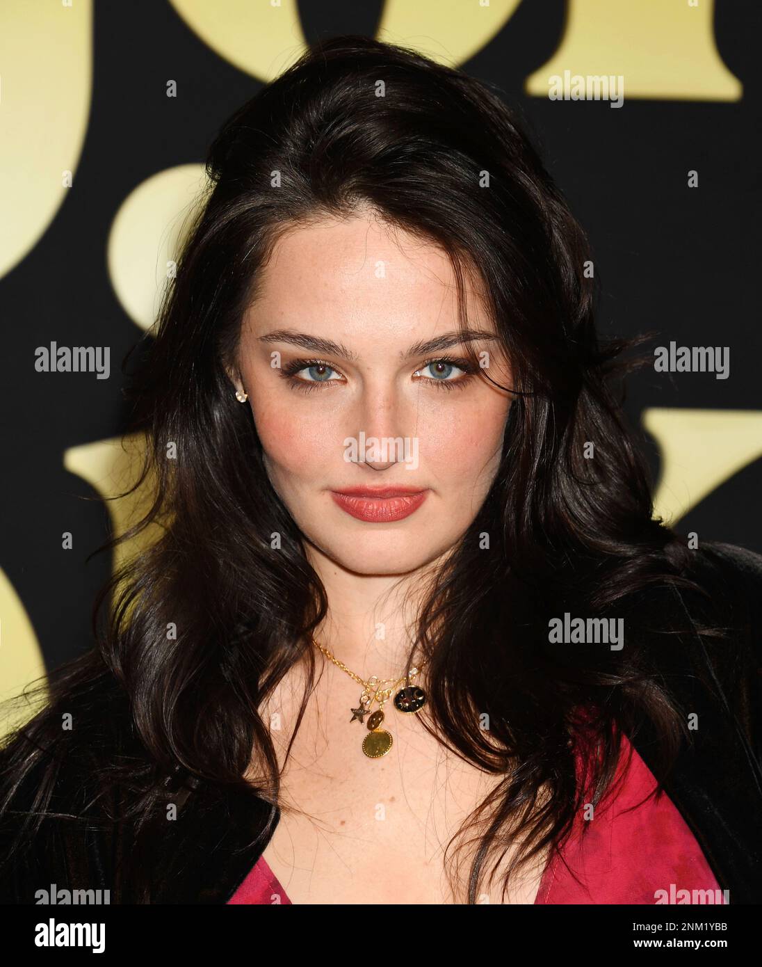 HOLLYWOOD, CALIFORNIA - FEBRUARY 23: Lily Donoghue attends the Los ...