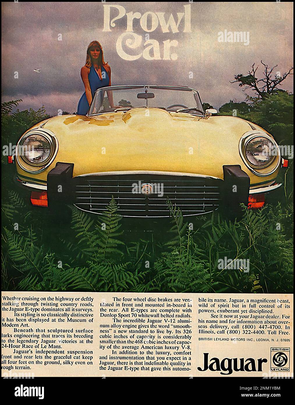 JAGUAR Type E Cabriolet (1974) - Vintage car advertising Stock Photo ...