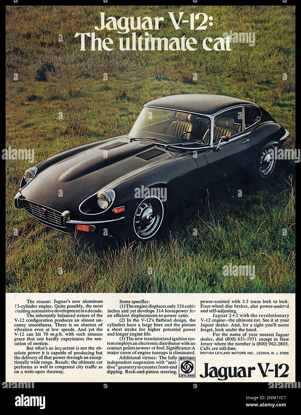 JAGUAR Type E V12 - Vintage car advertising Stock Photo - Alamy