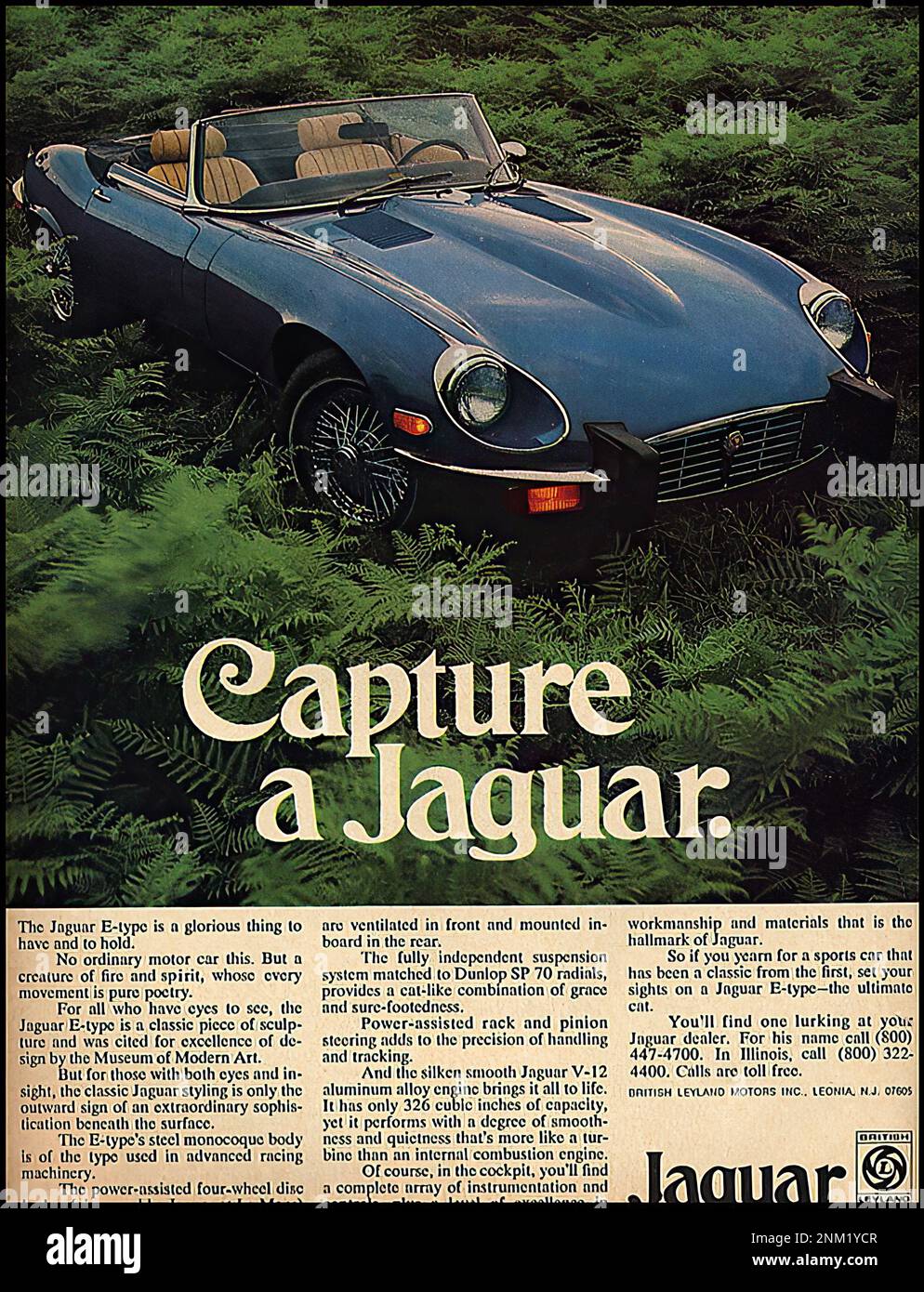 JAGUAR Type E v12 cabriolet (1974) - Vintage car advertising Stock ...