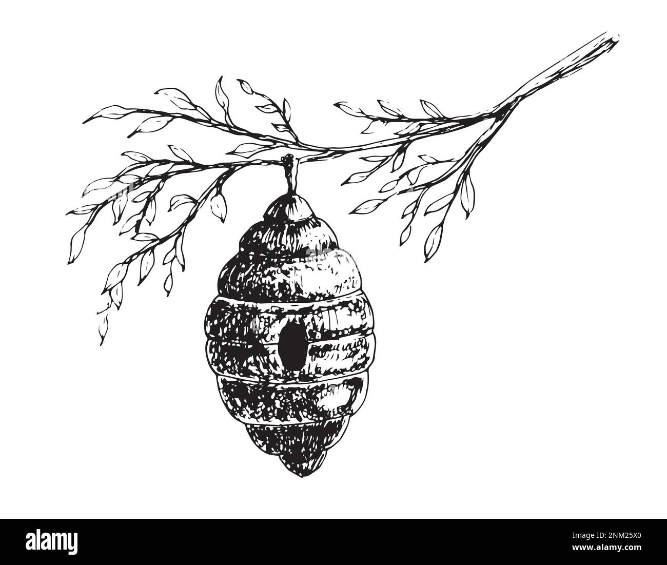 Bee Hive vector drawing. Hand drawn illustration of Beehive on isolated ...