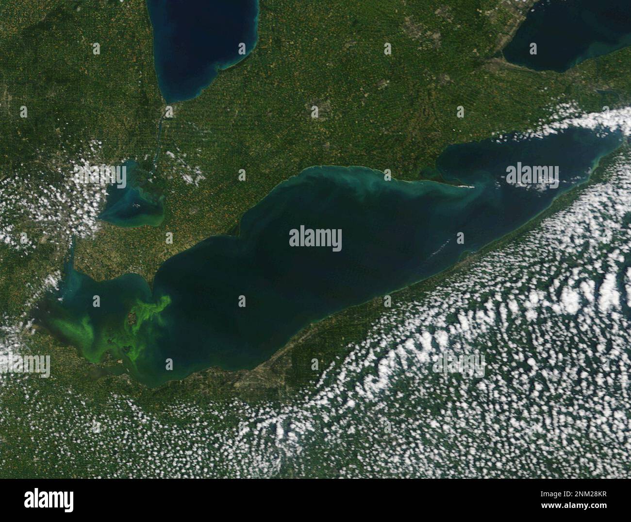 Modis satellite image hi-res stock photography and images - Alamy