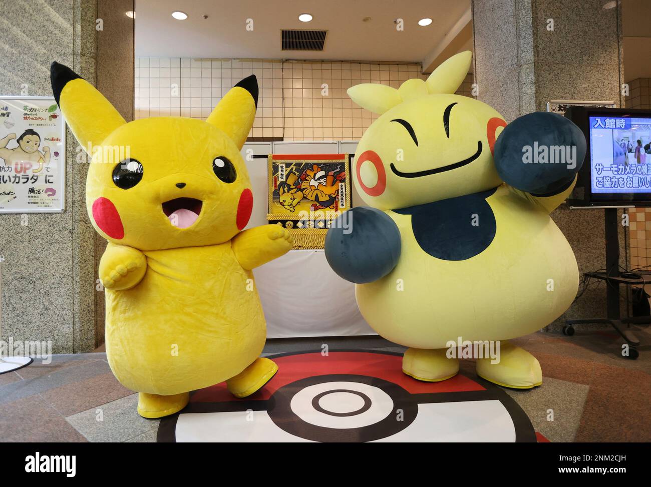 Pikachu and Makuhita, both character of Pokemon, appear at Ryogoku ...