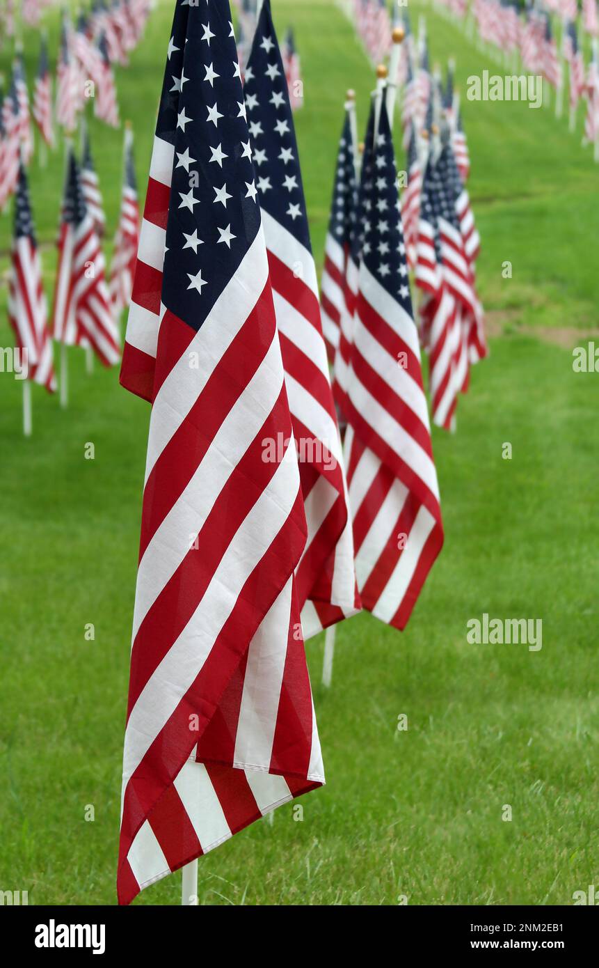 American Flags in Line at the Cemetery in Indianapolis, IN, USA Stock ...