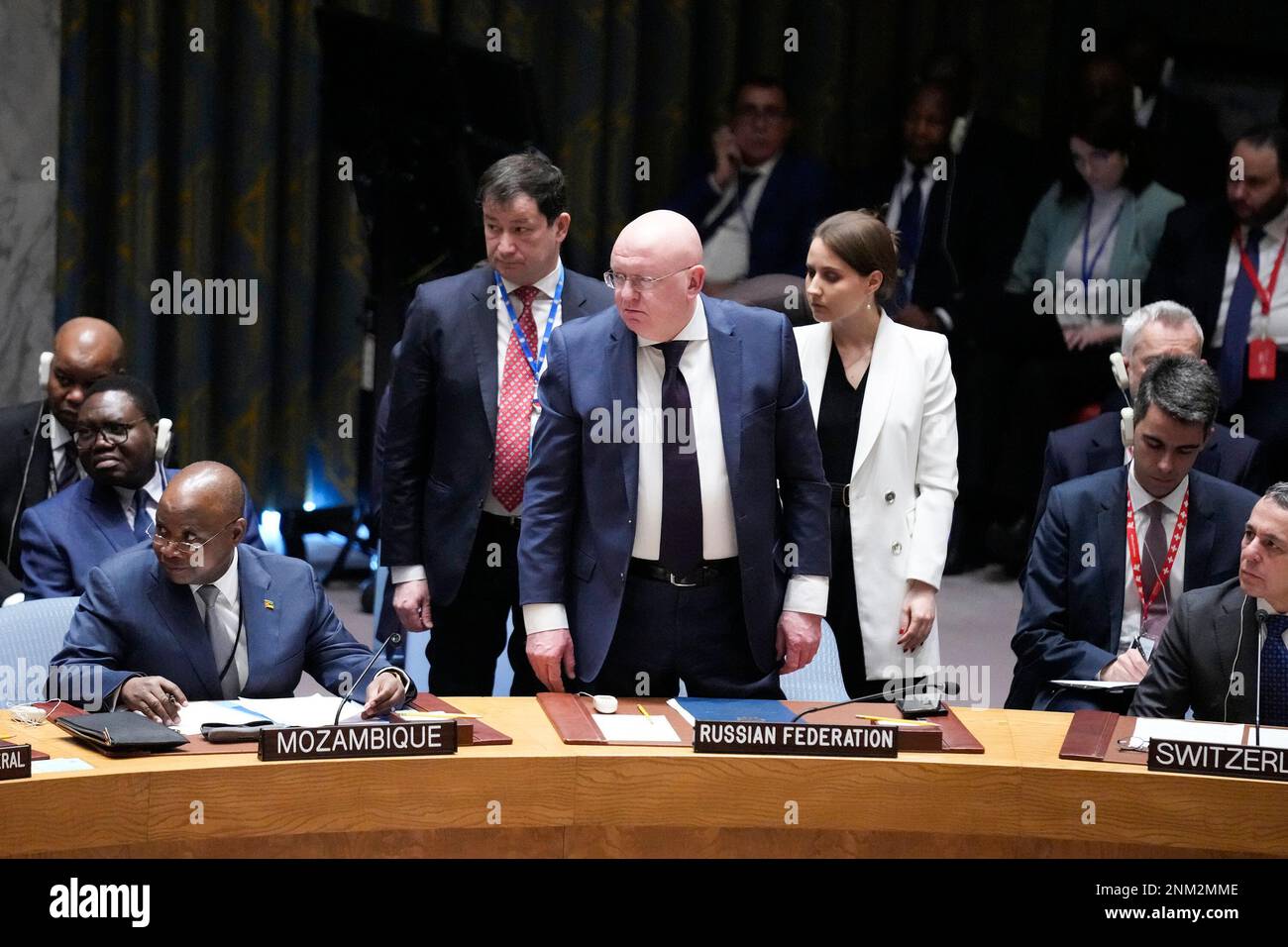 Participants in a Security Council meeting, including Russian ...