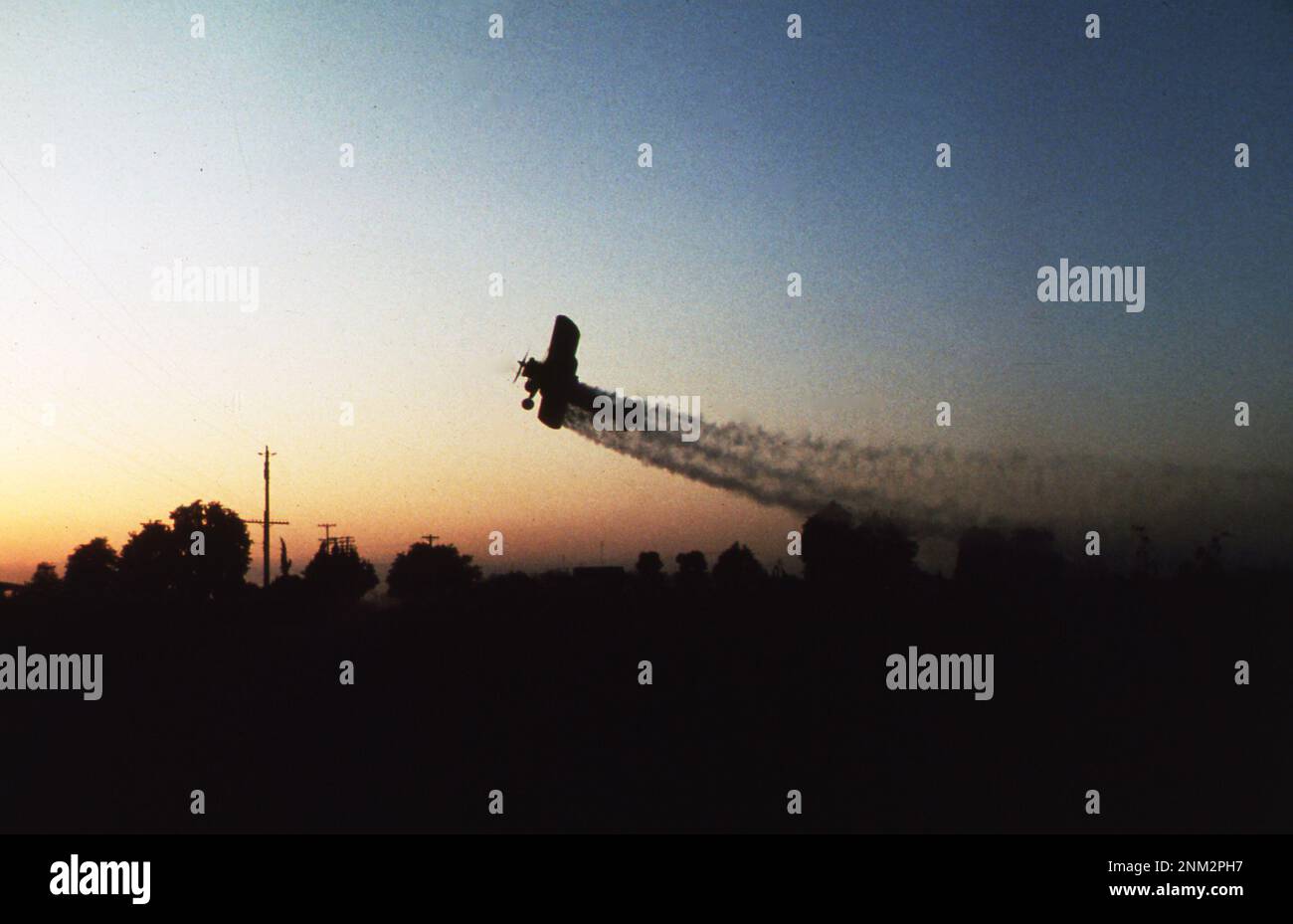 1970s United States: Crop duster sulfur-dusting of grape vines in ...