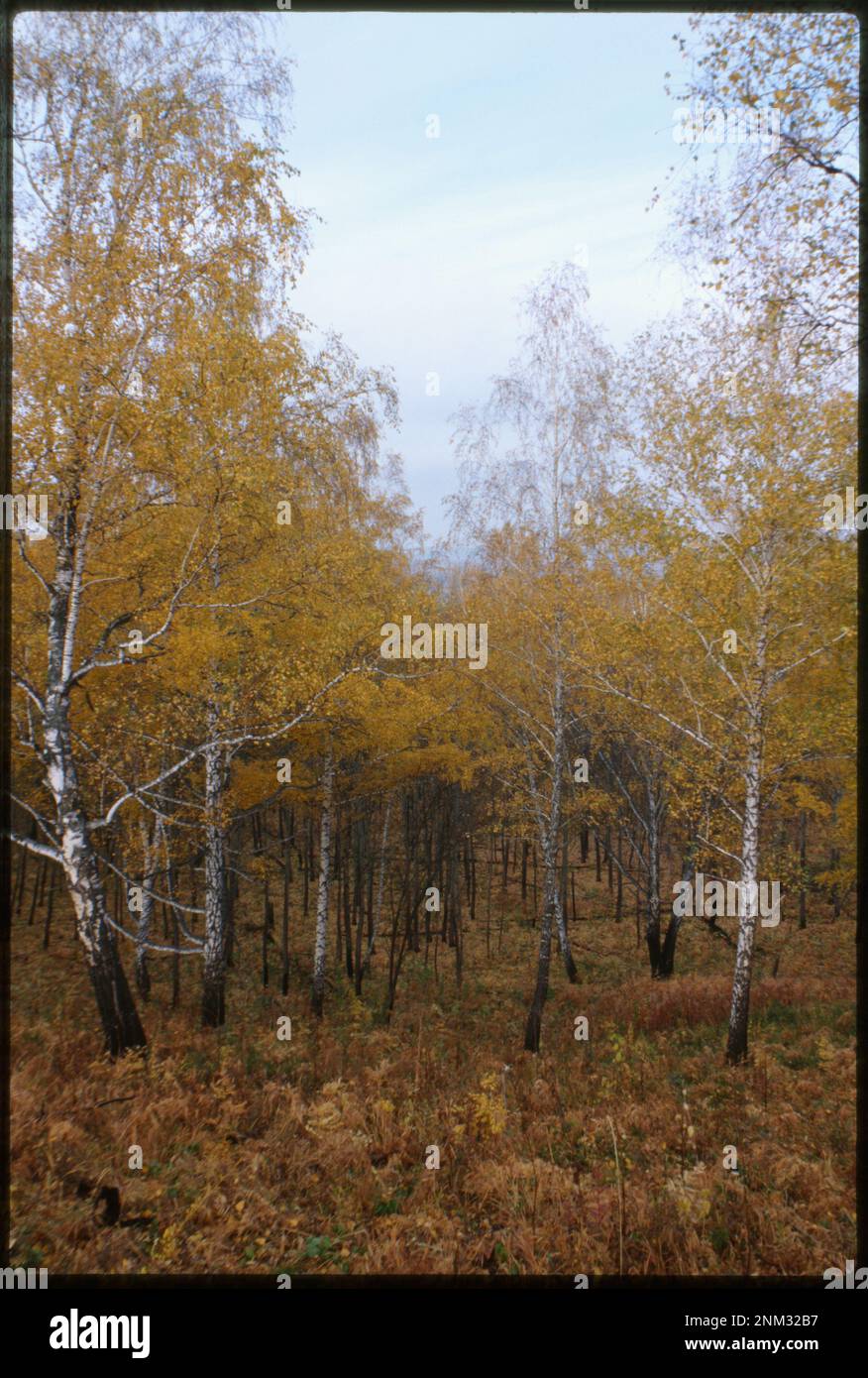 Federation 1990 2000 hi-res stock photography and images - Alamy