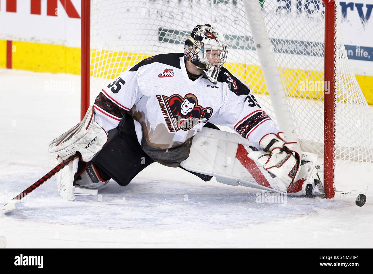 Profile photo on Calgary Hitmen goalie Brayden Peters during WHL ...
