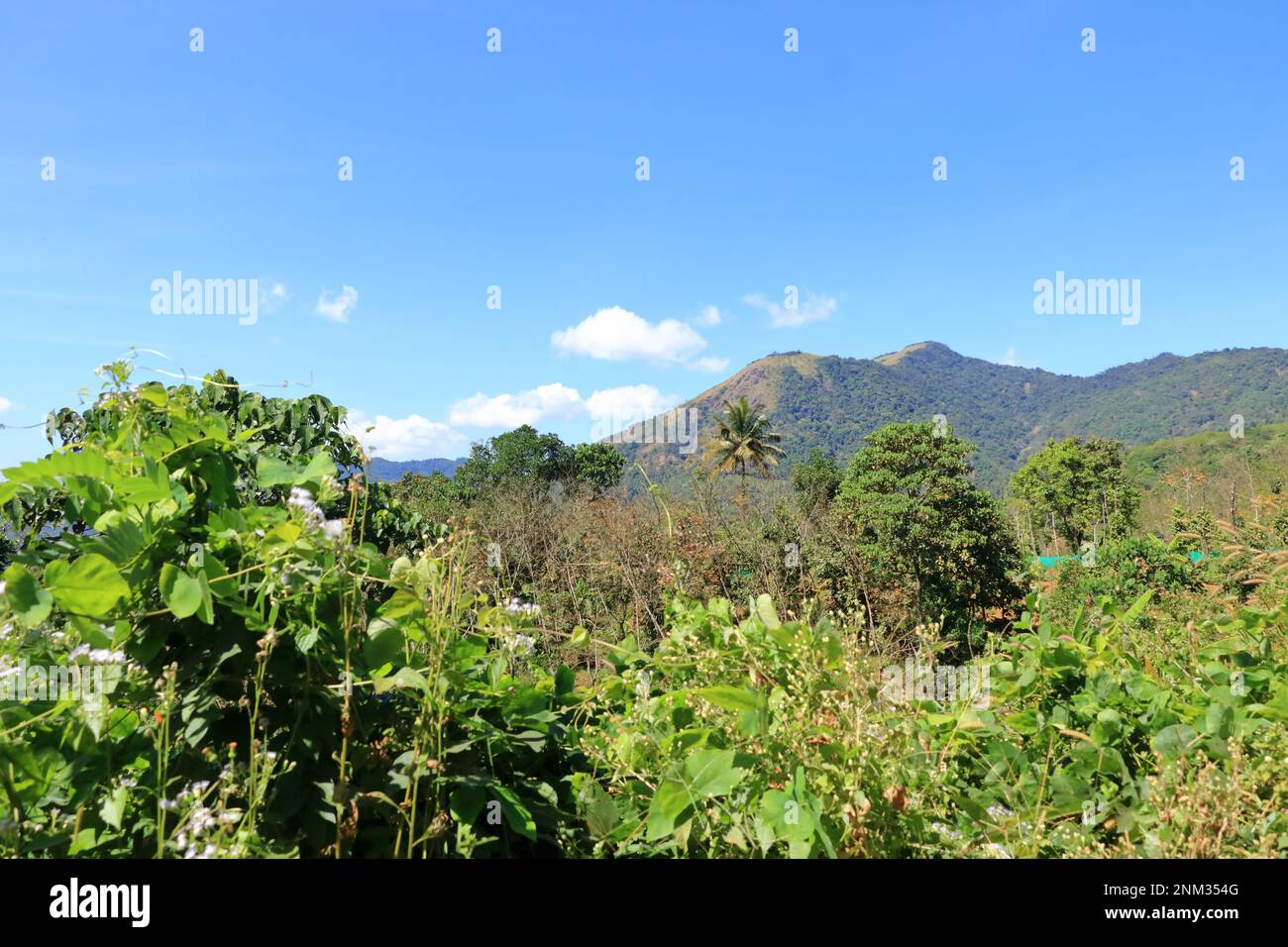 the Amazing view to the southern tip of the mighty western ghats ...