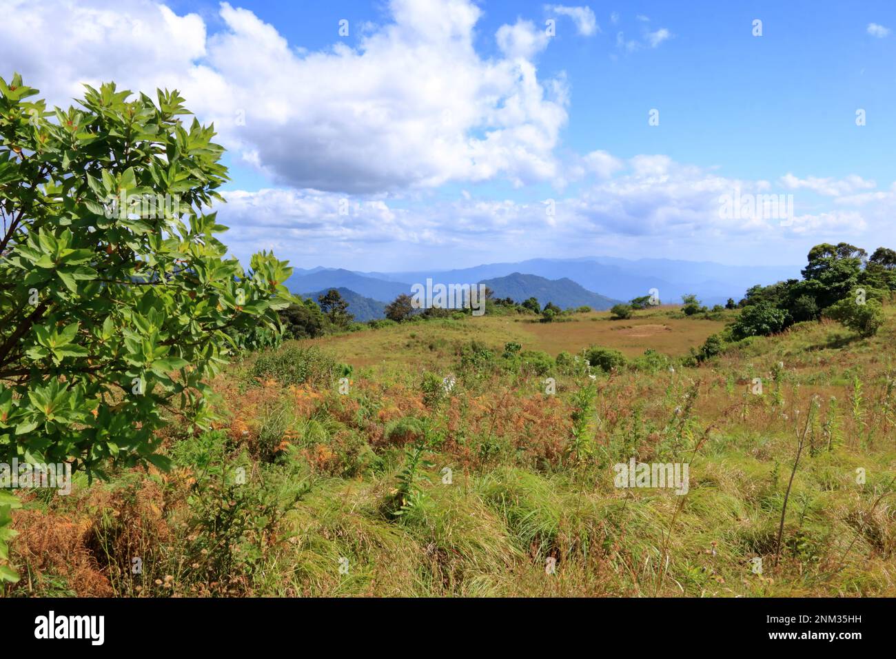the view of the southern tip of the mighty western ghats. Paithalmala ...