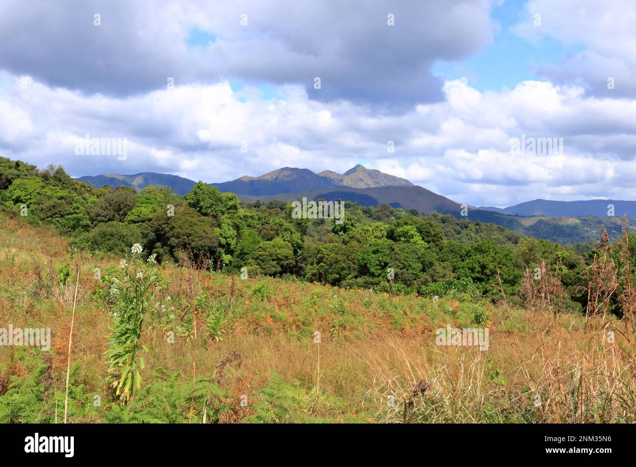 Paithal mala hi-res stock photography and images - Alamy