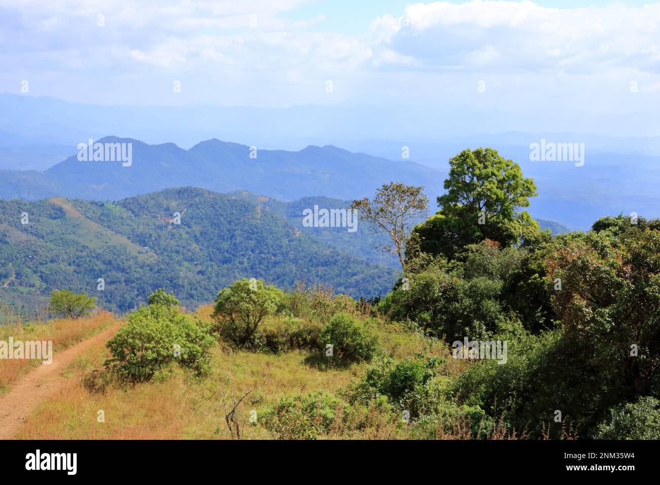 the view of the southern tip of the mighty western ghats. Paithalmala ...