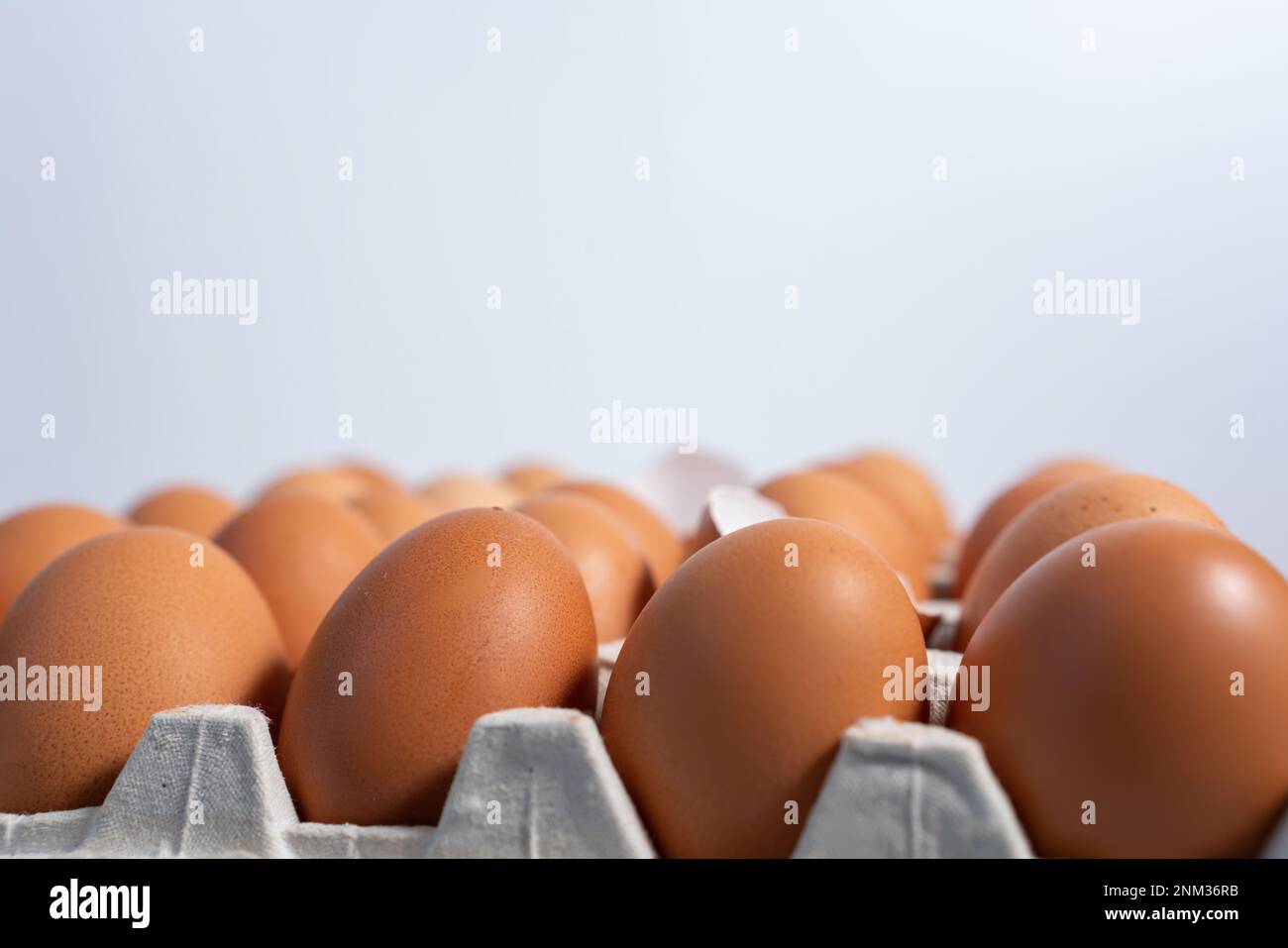 Fresh eggs in the egg stall. Egg tray or Egg panel Stock Photo - Alamy