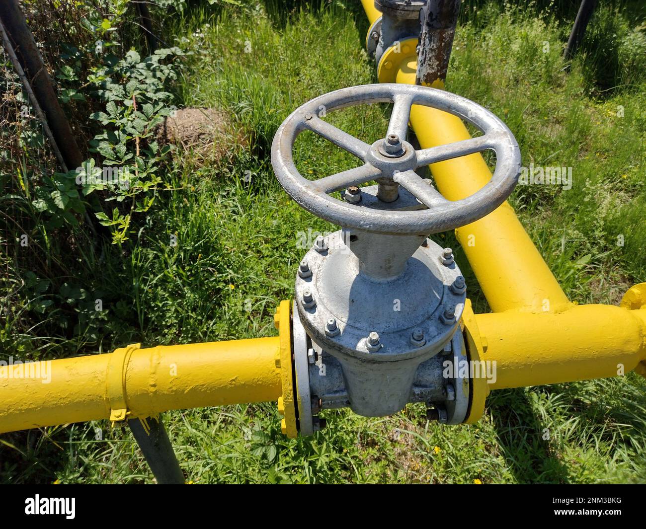 Summer energy hi-res stock photography and images - Alamy