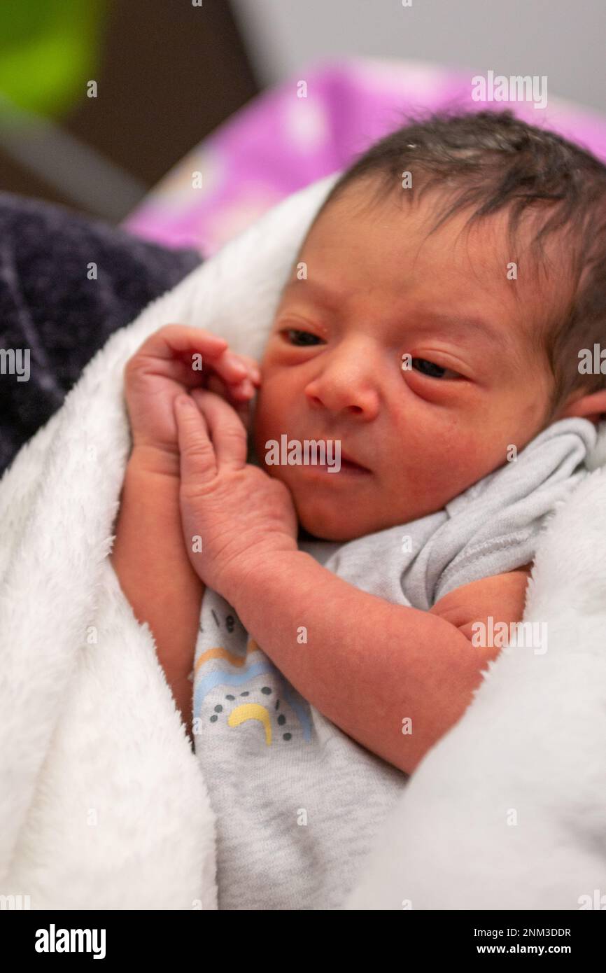 Newborn baby in its first hours of life Stock Photo - Alamy