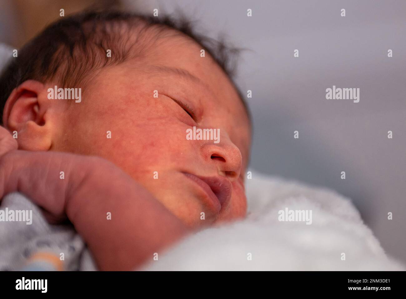 Newborn baby in its first hours of life Stock Photo - Alamy