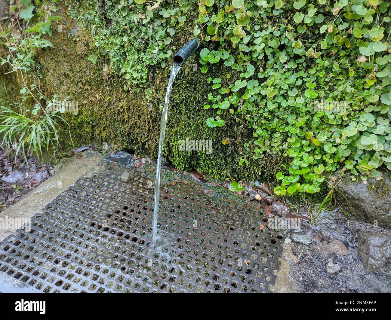 Water spring in Maramures county, Romania - in the summer Stock Photo ...