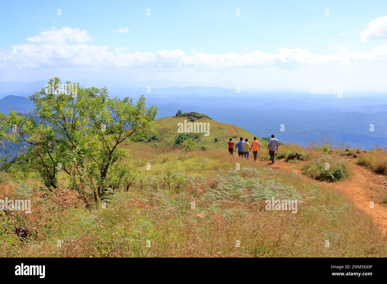 Paithal mala hi-res stock photography and images - Alamy