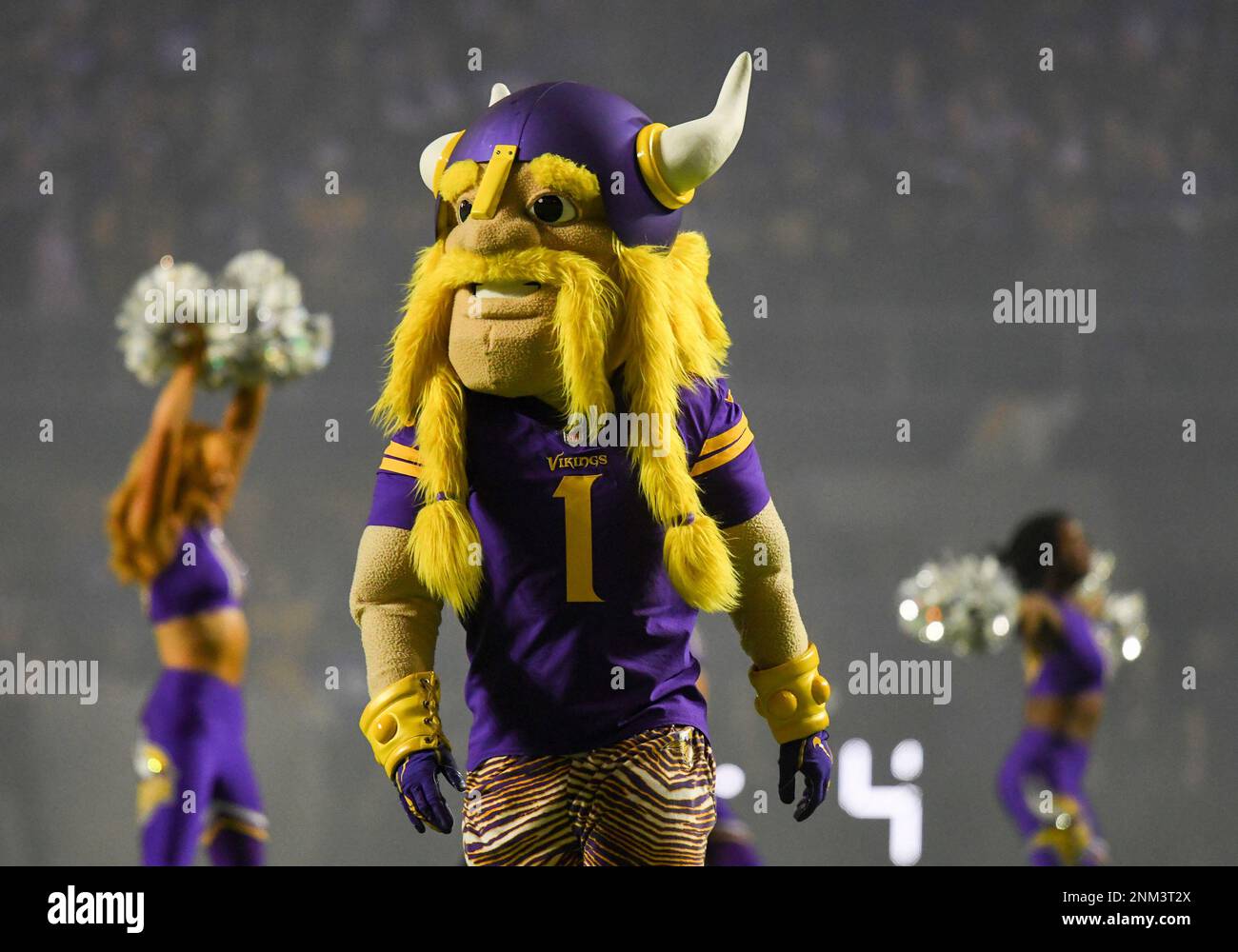 MINNEAPOLIS, MN - DECEMBER 09: Minnesota Vikings mascot Viktor The ...