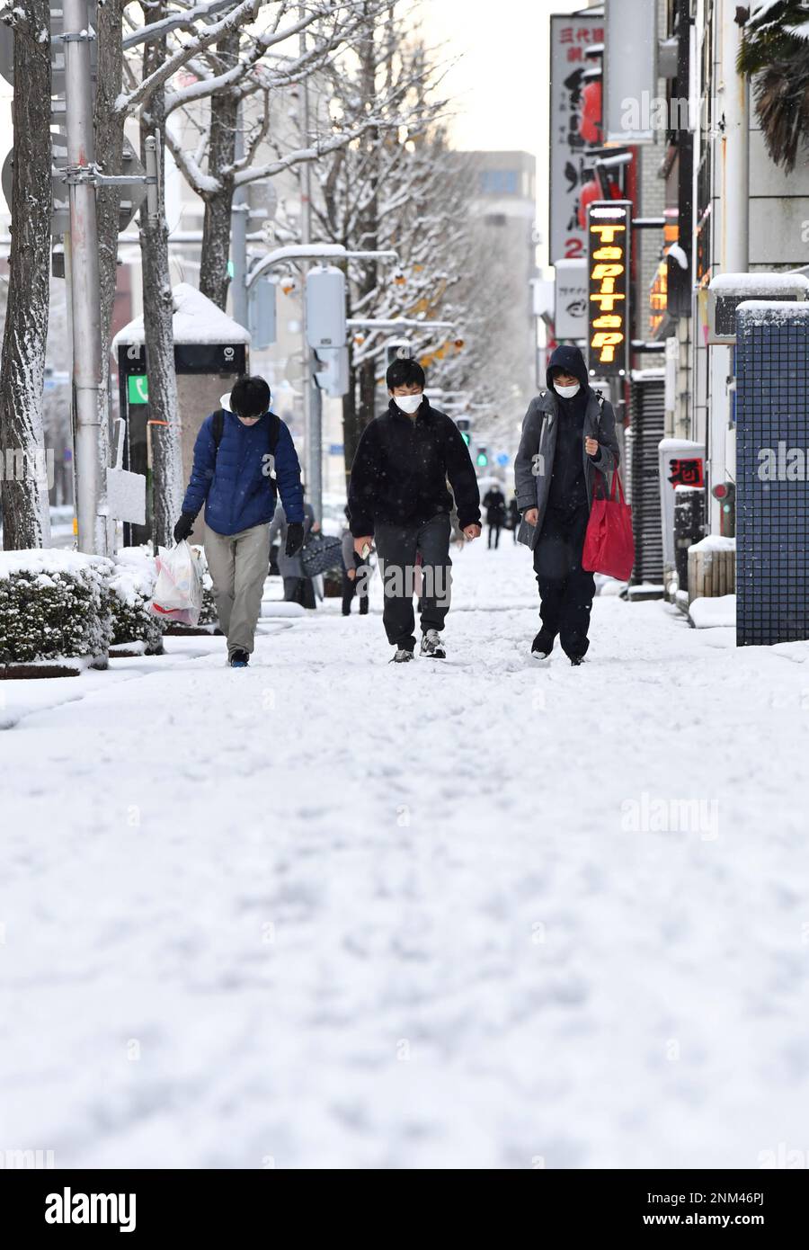 The heavy snow falls at a street in Yonago City, Tottori Prefecture ...