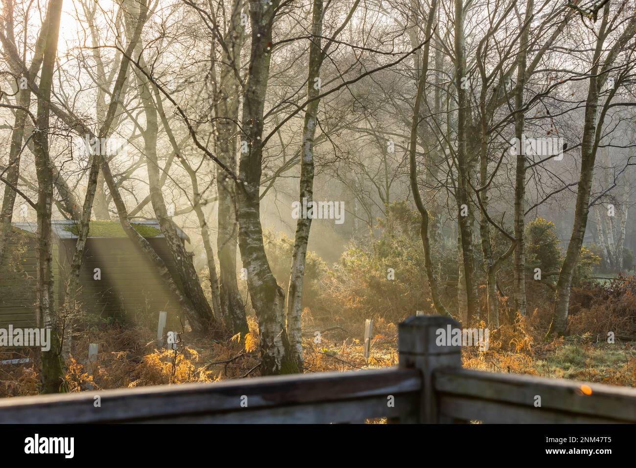 Kelling Heath Holiday Park, North Norfolk, Holt, England UK Stock Photo ...