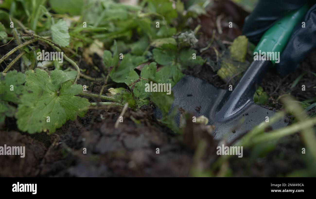 Small Farmer Shovel Digging Soil Extreme Close-up Macro, Farming ...