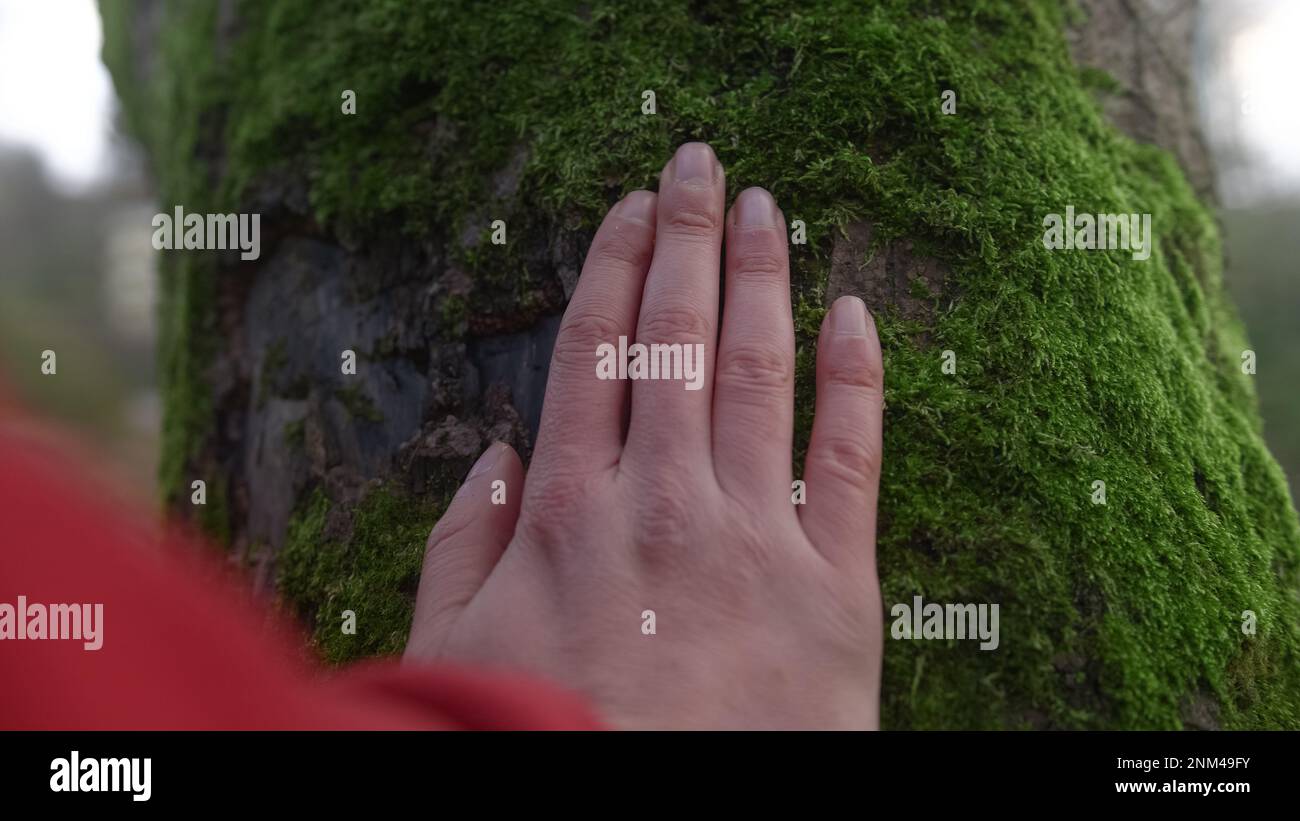 Protect the Forests: Hold a Tree and Change Your Life - Close-Up of a ...