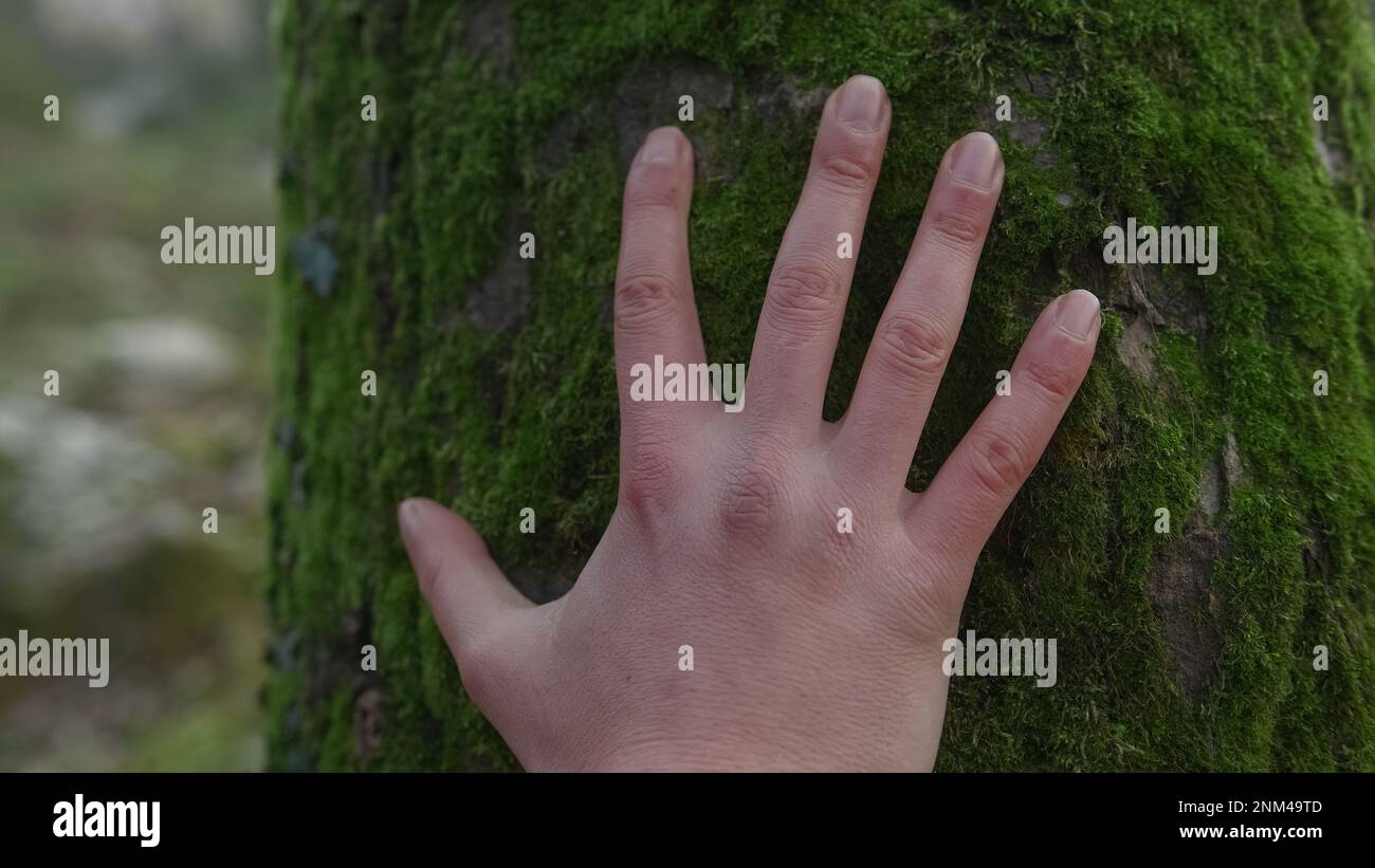 The Future of Our Forests: In Your Hands - Close-Up of a Male Human ...