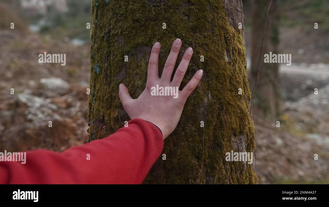 Give Life to Our Forests: Leave a Legacy for Future Generations - Male ...