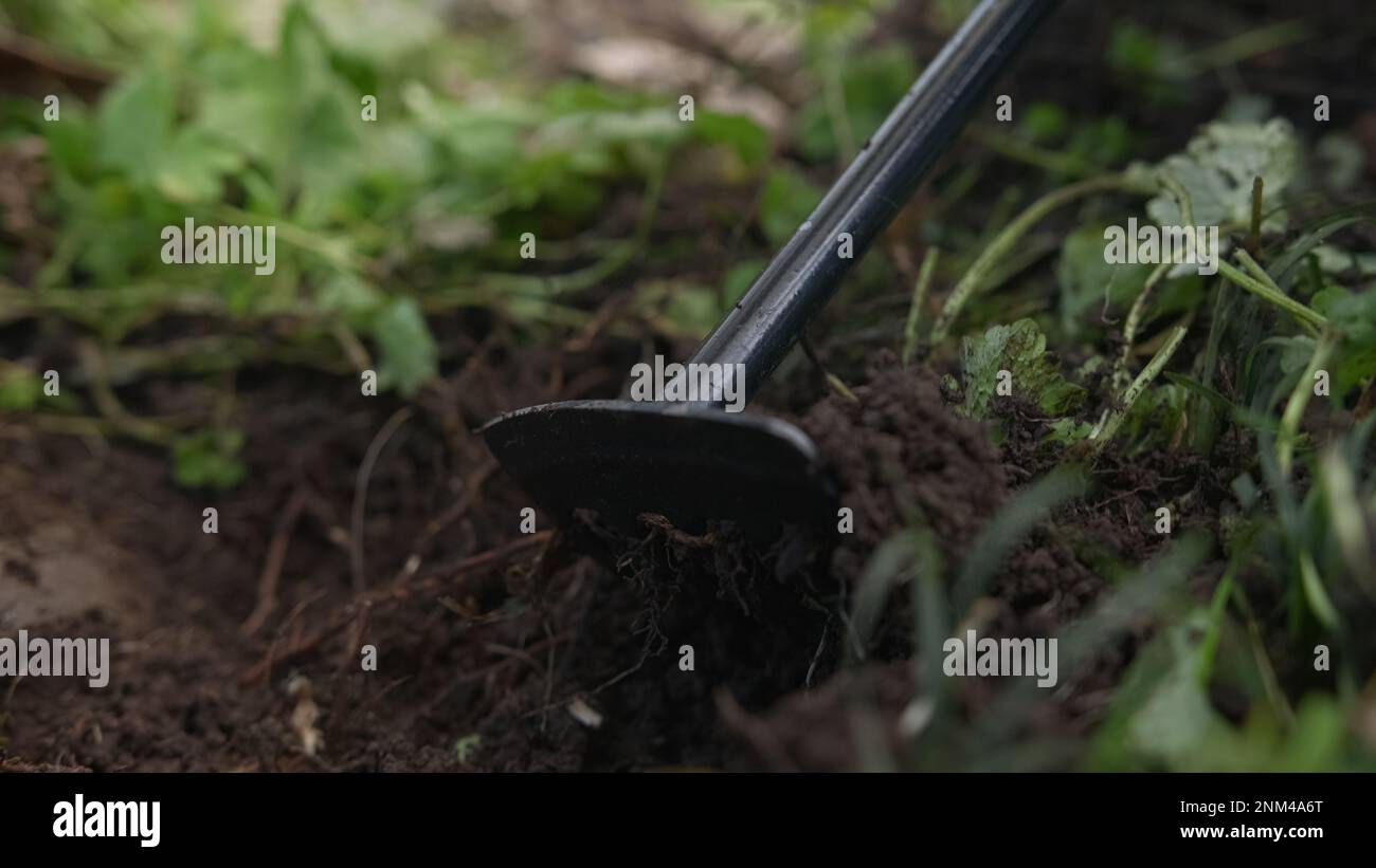 Close-Up Cultivating the Soil with a Hand Hoe in, Farmer Concept Stock ...