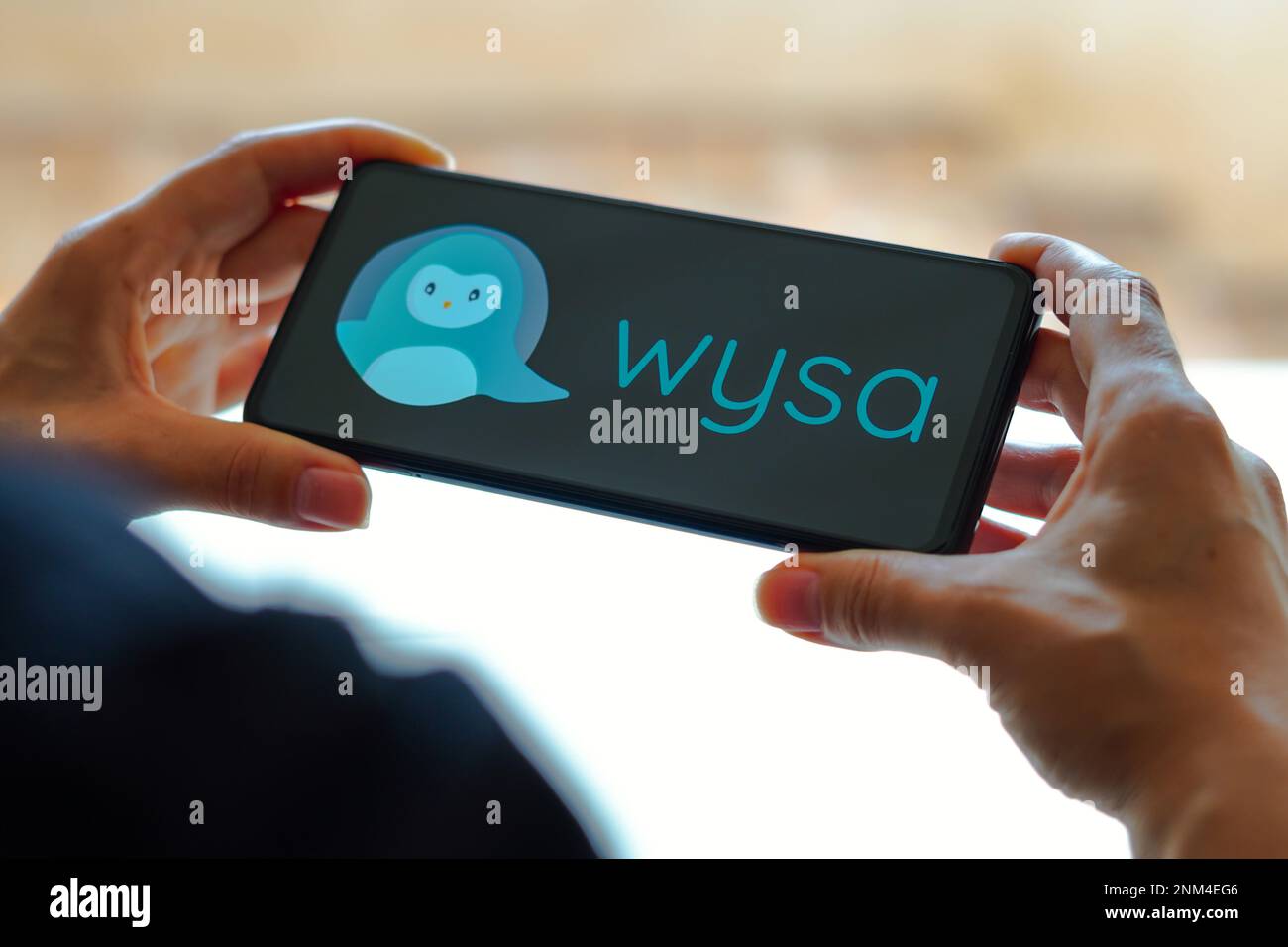 Brazil. 24th Feb, 2023. In this photo illustration the Wysa logo seen ...
