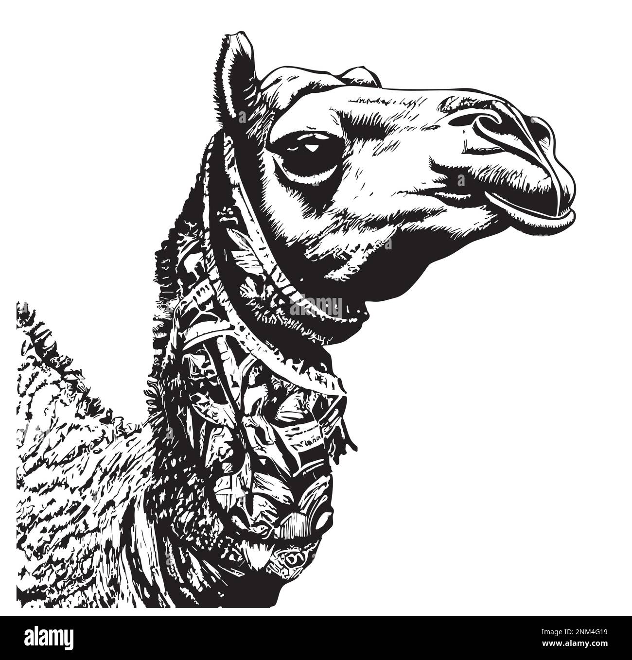 Camel Head Hand Drawn Sketch Vector Illustration Stock Vector Image And Art Alamy