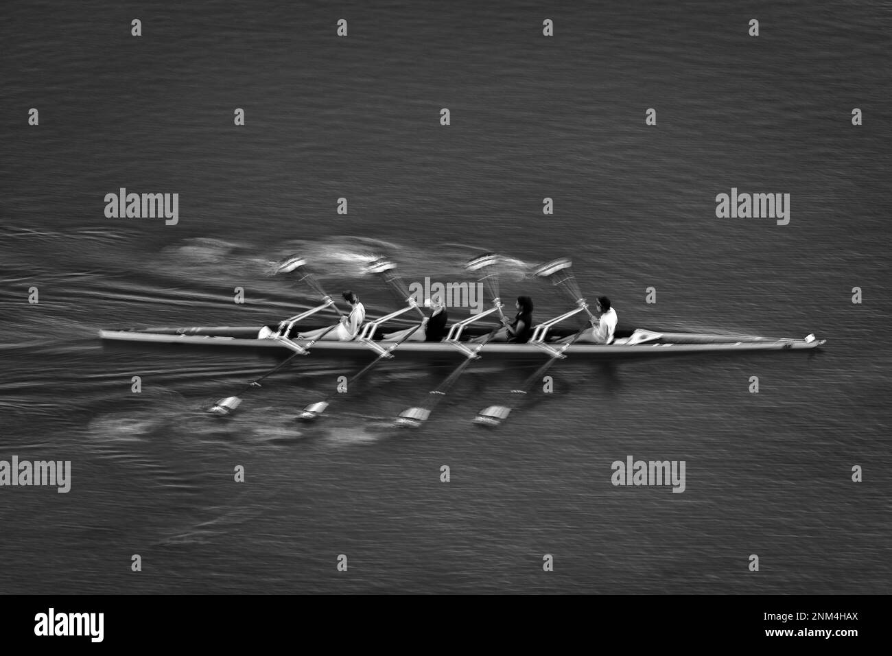 Women's sculling team practising on Ladybird Lake, Austin, Texas Stock ...