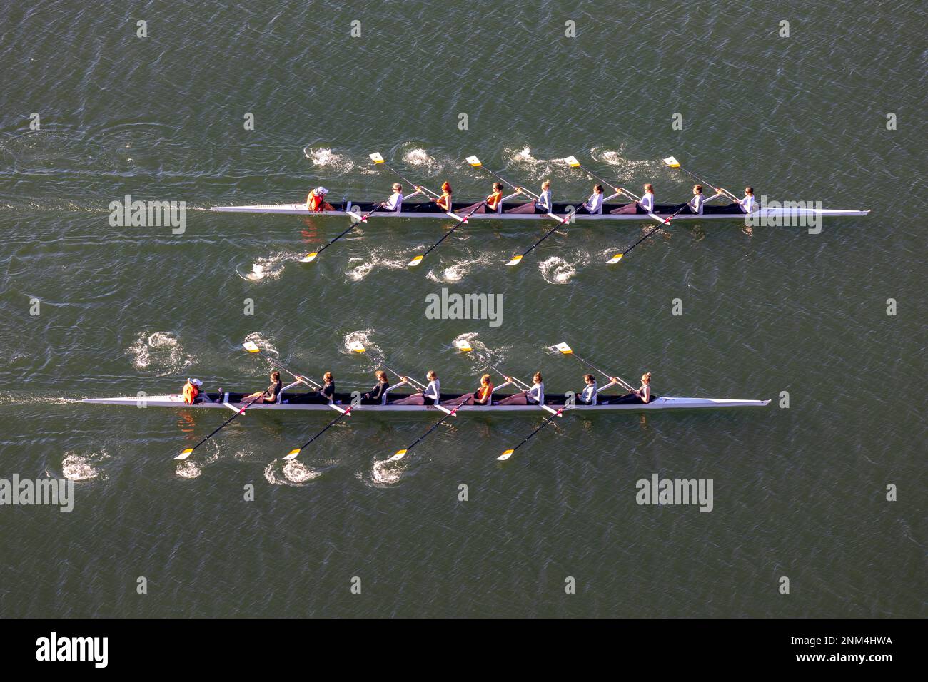Women's sculling teams practising on Ladybird Lake, Austin, Texas Stock ...
