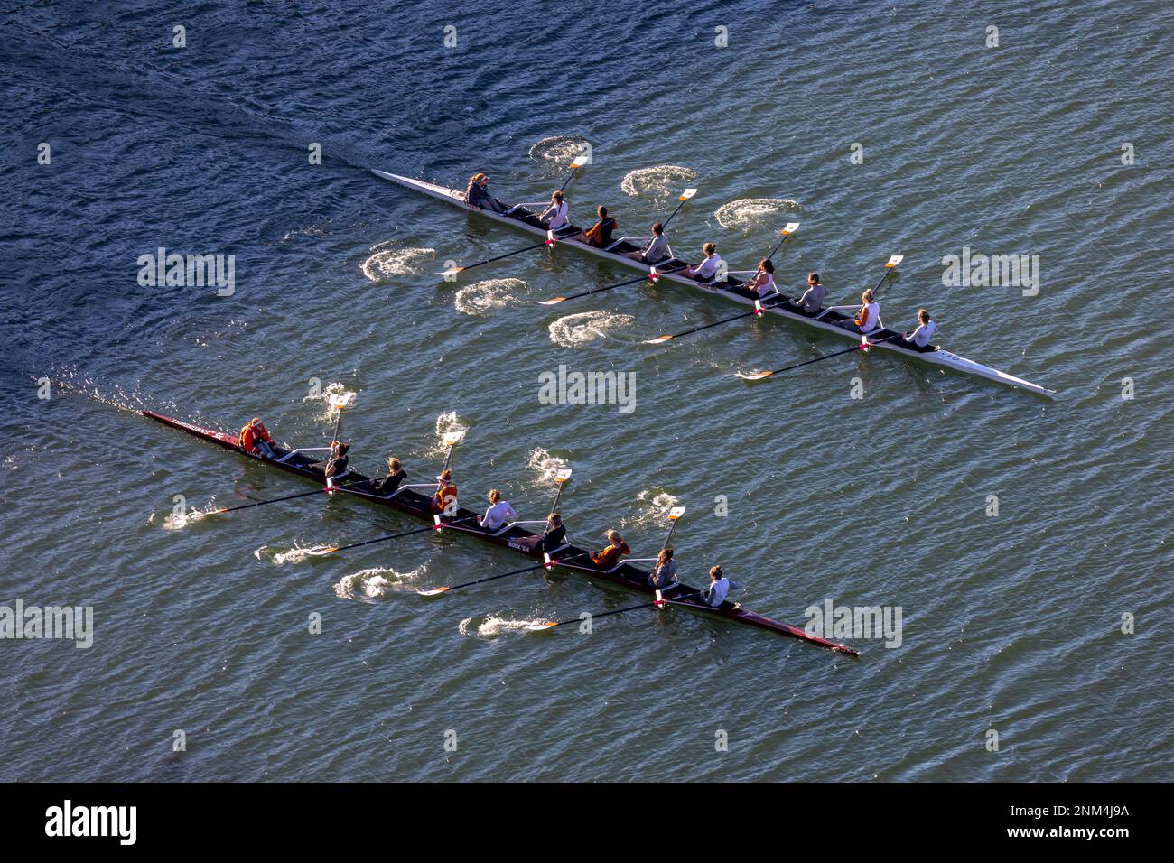 Women's sculling teams practising on Ladybird Lake, Austin, Texas ...