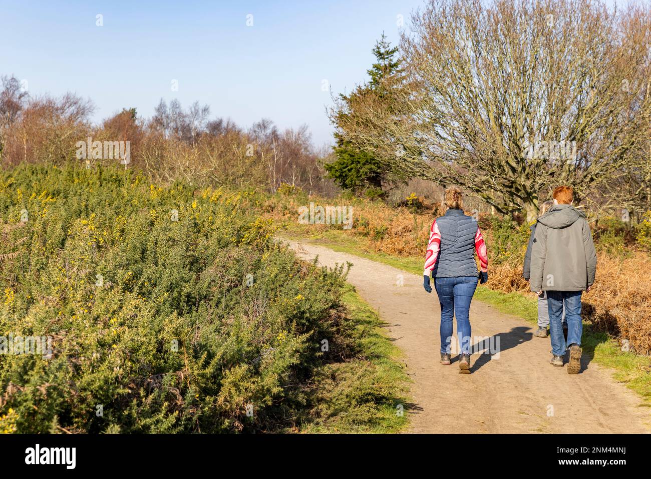 Kelling Heath Holiday Park, North Norfolk, Holt, England UK Stock Photo ...