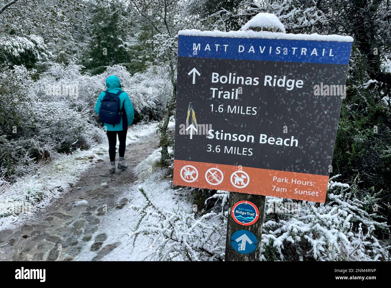 A person walks up a trail at snow-covered Mount Tamalpais State Park in Mill Valley, Calif ...